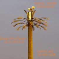 China 60M Bionic Coconut Tree Camouflaged Galvanized Steel Monopole 5G Wifi Telecom Communication Antenna Tower for sale