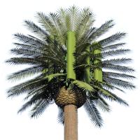 China 45M Simulated Tree Telecom Tower Aluminum Alloy 30m LTE Network Urban Parks Eco Friendly for sale