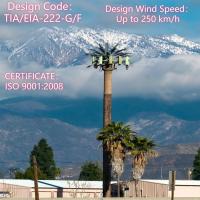 China 10 16 22M Residential Area Bionic  Tree Camouflaged Galvanized Steel Self Supporting Outdoor 5G 4G Wifi Telecom Tower for sale