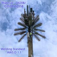 China 10 16 22M Residential Area Bionic  Tree Camouflaged Galvanized Steel Self Supporting Outdoor 5G 4G Wifi Telecom Tower for sale