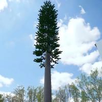 China 10 16 22M Residential Area Bionic  Tree Camouflaged Galvanized Steel Self Supporting Outdoor 5G 4G Wifi Telecom Tower for sale