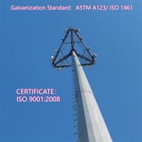China 22 30 38M Scenic Monopole Tubular Galvanized Steel Outdoor 5G 4G Wifi Urban Landscape Communication Tower for sale