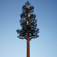 China 40M Bionic Tree Tower with artificial trunks branches and leaves made from high strength plastics and fiberglass materials for sale