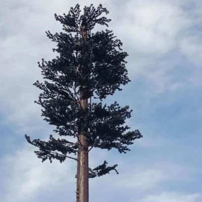China 20M Bionic Tree Tower designed for seamless integration into landscapes with tree like appearance and modular construction for sale