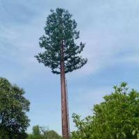 China 20M Bionic Tree Tower designed for seamless integration into landscapes with tree like appearance and modular construction for sale