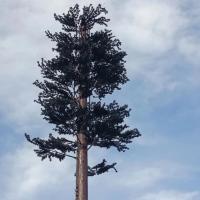 China 20M Bionic Tree Tower designed for seamless integration into landscapes with tree like appearance and modular construction for sale