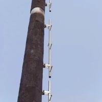 China 22M Bionic Tree Tower integrating hidden antenna mounts and cable management for clean installation of 5G 4G and microwave devices for sale