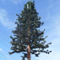 China Bionic Tree Tower featuring fiberglass and UV resistant plastics with galvanized steel internal support for durable outdoor infrastructure solutions for sale