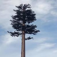 China Bionic Tree Tower modular design with customizable tree species and height supporting antenna mounts cable management and renewable energy harvesters for sale
