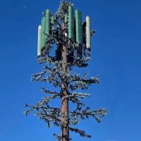 China Bionic Tree Tower modular design with customizable tree species and height supporting antenna mounts cable management and renewable energy harvesters for sale