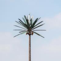 China Bionic Tree Tower with tree like appearance featuring fiberglass branches and trunks for seamless landscape blending for sale