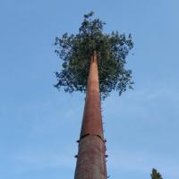 China Bionic Tree Tower customizable modular components for height and tree species to fit various landscape requirements for sale