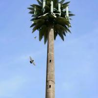 China Bionic Tree Tower artificial with ANSI TIA 222 G H F and EN 1991 1 4 EN 1993 3 1 design codes for infrastructure for sale