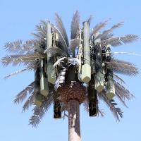 China Bionic Tree Tower artificial with ANSI TIA 222 G H F and EN 1991 1 4 EN 1993 3 1 design codes for infrastructure for sale
