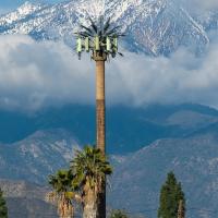 China Bionic Tree Tower artificial with ANSI TIA 222 G H F and EN 1991 1 4 EN 1993 3 1 design codes for infrastructure for sale