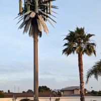China Bionic Tree Tower designed for wind speeds up to 250 kmh with mild and high tensile steel grades ensuring safety and durability for sale
