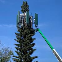 China Bionic Tree Tower artificial impact strength KV 27 joules at various temperatures for structural reliability for sale