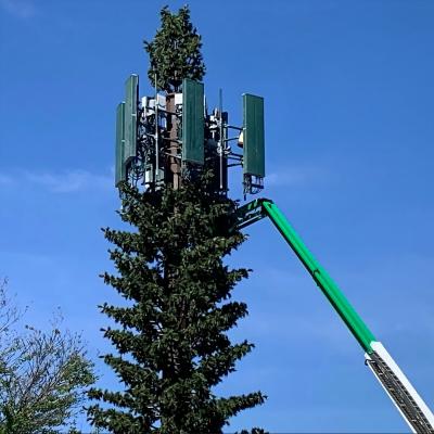 China Bionic Tree Tower structure with high tensile steel and mild steel grades meeting ASTM A36 A572 Gr50 and EN10025 standards for sale