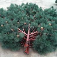 China Bionic Tree Tower structure with high tensile steel and mild steel grades meeting ASTM A36 A572 Gr50 and EN10025 standards for sale