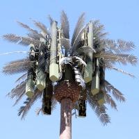 China Custom Design Bionic Tree Tower Camouflaged For Scenic Area Urban Landscape for sale