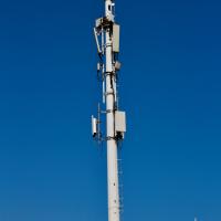 China 36Meter Color Customized Monopole Tower For City Central Park 5G Deployment for sale