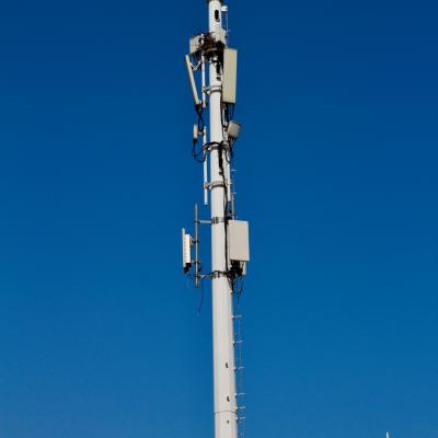 China 36Meter Color Customized Monopole Tower For City Central Park 5G Deployment for sale