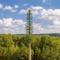 China 15-45M Tropical Style Bionic Palm Tree Camouflage Communication Tower for Coastal Resort Signal Coverage 30-Year Galvanized Steel Core and UV-Resistant Leaves for sale