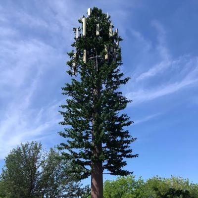 China 15-45M Tropical Style Bionic Palm Tree Camouflage Communication Tower for Coastal Resort Signal Coverage 30-Year Galvanized Steel Core and UV-Resistant Leaves for sale