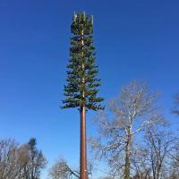 China Eco-Friendly Camouflaged Bionic Pine Tree Tower for 5G Wireless Network Aesthetic Integration Bionic Palm Tree Communication Mast Factory for sale
