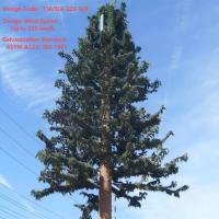 China Eco-Friendly Camouflaged Bionic Pine Tree Tower for 5G Wireless Network Aesthetic Integration Bionic Palm Tree Communication Mast Factory for sale