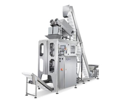 China CE Energy Saving Automatic Ice Packing Machine For Cube Ice And Tube Ice 750kg for sale
