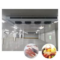 China Customized commercial Walk In Blast Cold Room Freezer R404a or R22 For Frozen Fish for sale