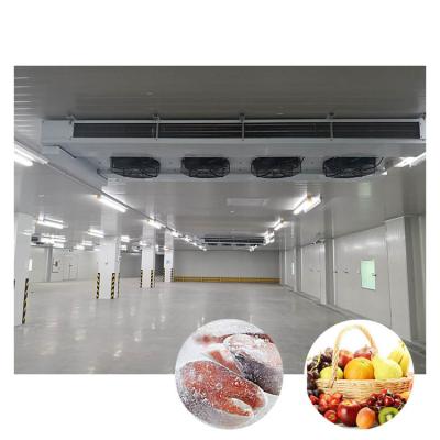 China Customized commercial Walk In Blast Cold Room Freezer R404a or R22 For Frozen Fish for sale