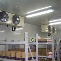 China Vegetable Cold Storage Blast Cold Room Preservation Frozen 800ton 1000 KG Weight for sale