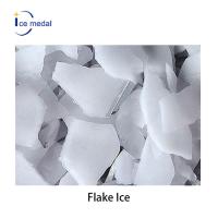 China 360 Kg Flake Ice Making Machine Food Cooling For Seafood Freezing for sale
