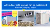 China 50mm Panel Refrigerator Cold Room For Fruit Refrigeration Freezer Room for sale