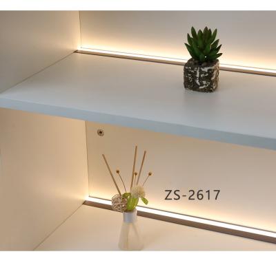 China 3500K Warm White Aluminum Recessed LED Cabinet Light for Showcases - 35,000 Hour Lifespan Model ZS-2617 for sale