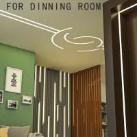 China 16.5FT/5M Spotless Silicone LED Channel System with 12mm Waterproof Strip Compatibility and IP67 Rating for sale