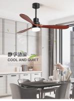 China High Lumen 3KV Surge Protection 9-25W LED DOB Module for Ceiling Fan Light Replacement - 110mm 3CCT for sale