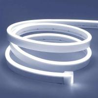 China 16.4ft White LED Neon Strip Light 12V IP67 Waterproof with 600 LEDs for Indoor Outdoor Decoration for sale