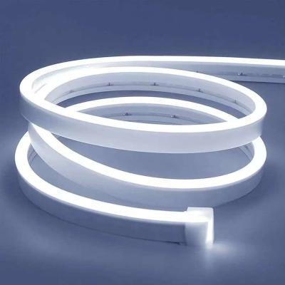 China 16.4ft White LED Neon Strip Light 12V IP67 Waterproof with 600 LEDs for Indoor Outdoor Decoration for sale