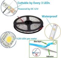 China 5M 600-LED Flexible Strip Light IP65 Waterproof 12V DC Daylight White for Indoor Outdoor Decoration for sale