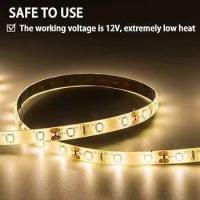 China 5M 600-LED Flexible Strip Light IP65 Waterproof 12V DC Daylight White for Indoor Outdoor Decoration for sale