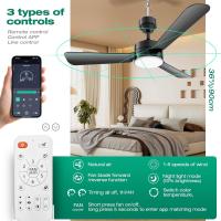 China Ceiling Fans with Lights,36
