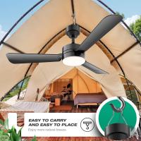 China Ceiling Fans with Lights,36