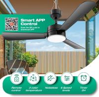 China Ceiling Fans with Lights,36