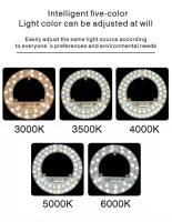 China ERP ETL Certified 24W Round LED Panel Light with 3000K-6000K Adjustable CCT and 3000 Lumen Output for sale