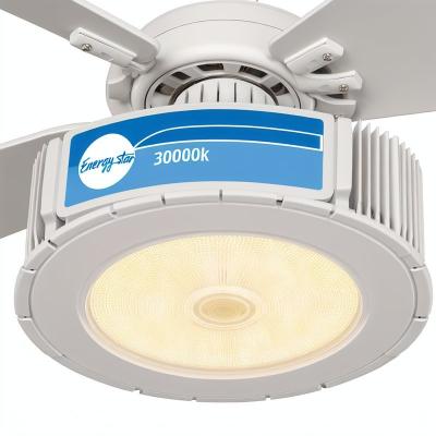 China 3000K Energy Star Certified Ceiling Fan LED Light Replacement for sale