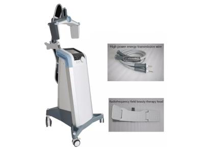 China Professional Local Fat Removal RF Machine Non Contact Technology Vanquished RF Body Slimming Equipment for sale