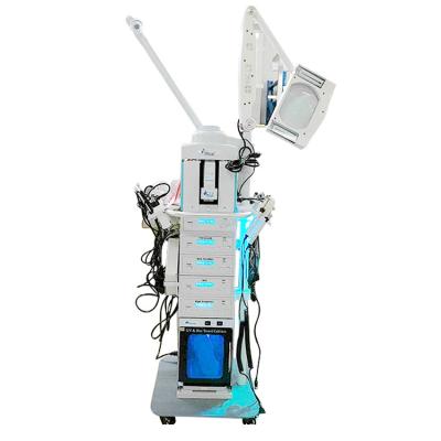 China 19 In 1 Multifunction Beauty Equipment Skin Care Anti-aging Machine for sale